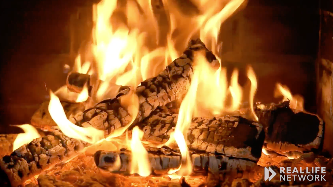 The Real Life Network