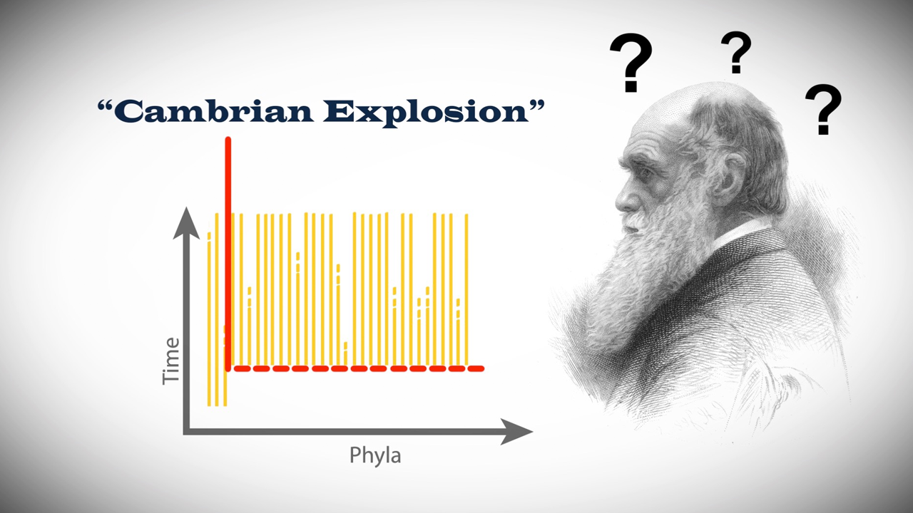 The Real Life Network