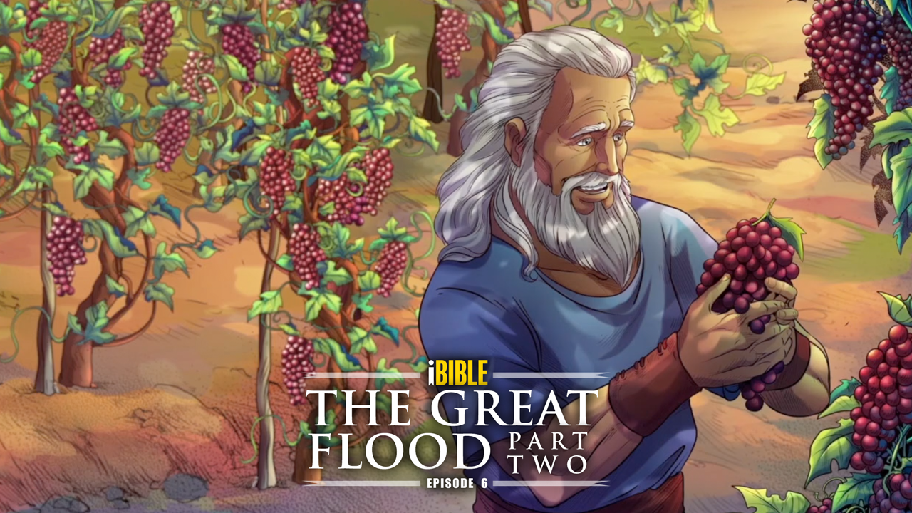 The Real Life Network