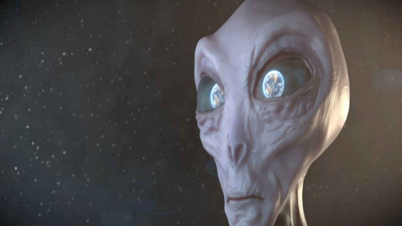 The Real Life Network